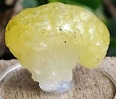 Rare and unusual mineral specimens for collectors