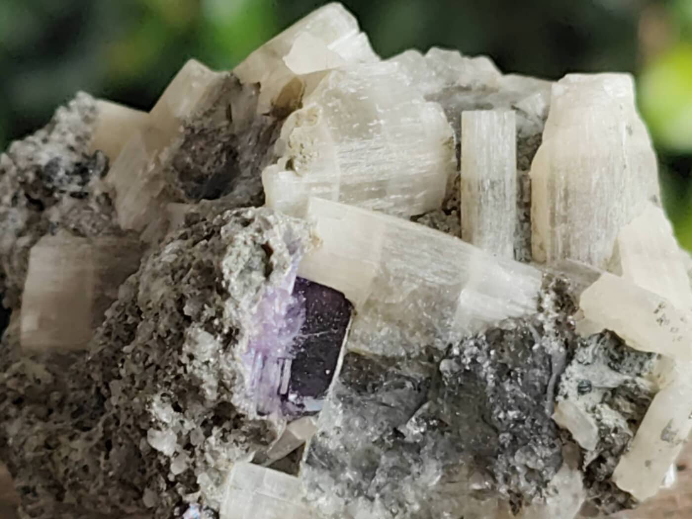 SPEC1059 UV reactive Apatite crystals in matrix with partial fluorite ...