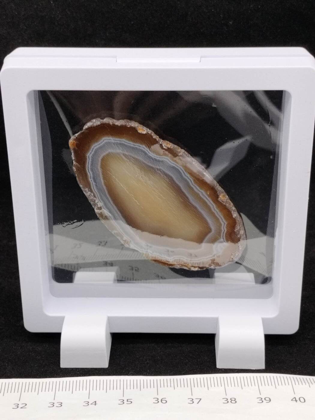 Display case stretch 9cm white