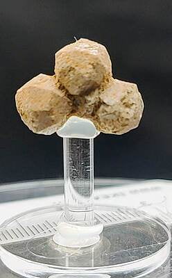 Rare and unusual mineral specimens for collectors