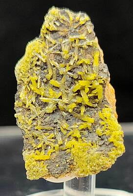 Rare and unusual mineral specimens for collectors
